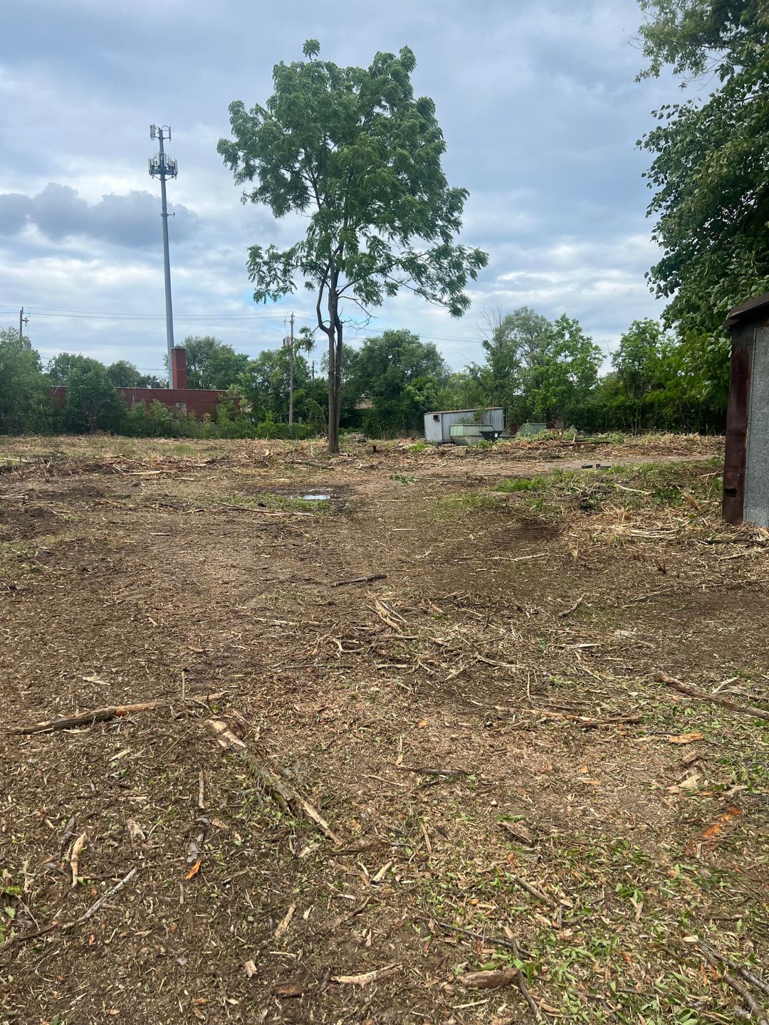 Forestry Mulching (Photos) - Chuck's Fence