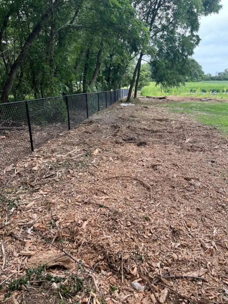 Forestry Mulching (Photos) - Chuck's Fence